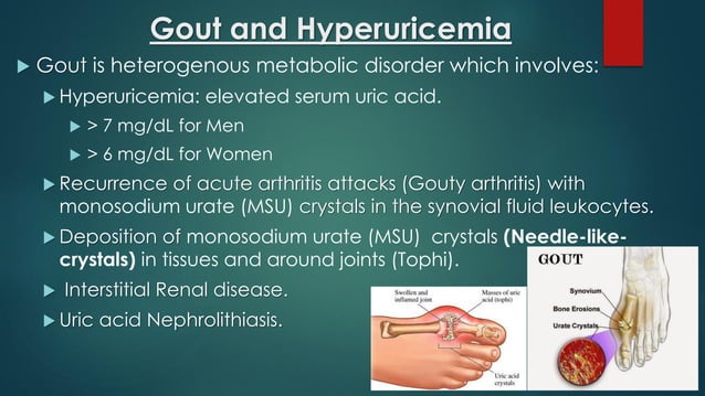 Gout and Hyperuricemia | PDF | Foot Health | Diseases and Conditions