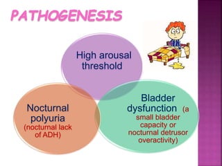 UPDATE OF NOCTURNAL ENURESIS:DR.MURSHEDA | PPTX