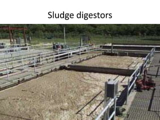 Waste water treatments | PPTX