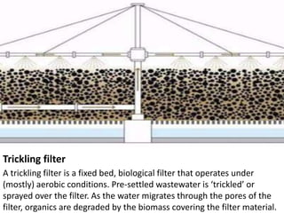 Waste water treatments | PPTX