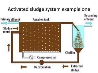 Waste water treatments | PPTX | Home & Garden