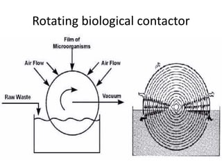 Waste water treatments | PPTX | Home & Garden