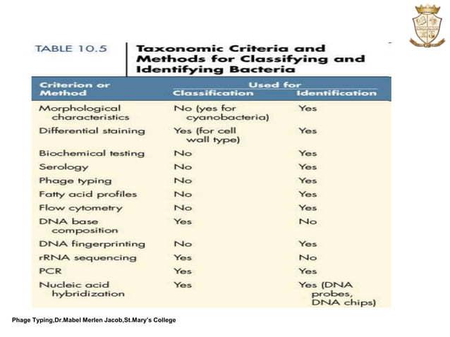 Microbiology-Phage Typing | PPTX | Infectious Diseases | Diseases and Conditions