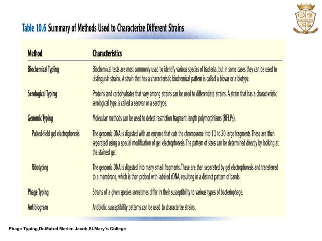 Microbiology-Phage Typing | PPTX | Infectious Diseases | Diseases and Conditions