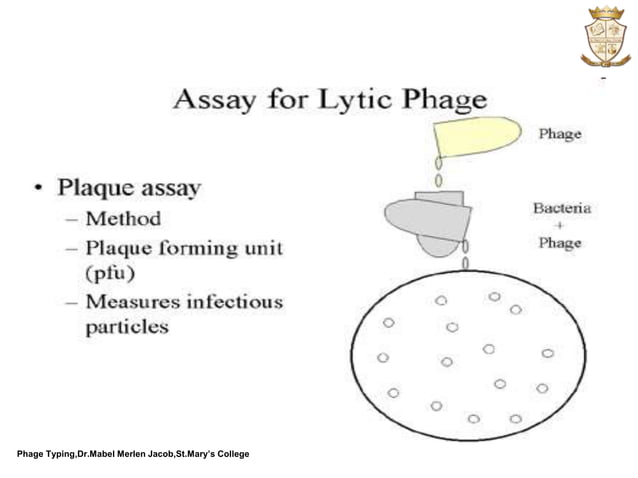 Microbiology-Phage Typing | PPTX | Infectious Diseases | Diseases and Conditions
