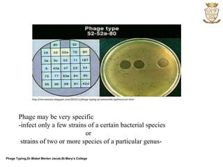 Microbiology-Phage Typing | PPTX