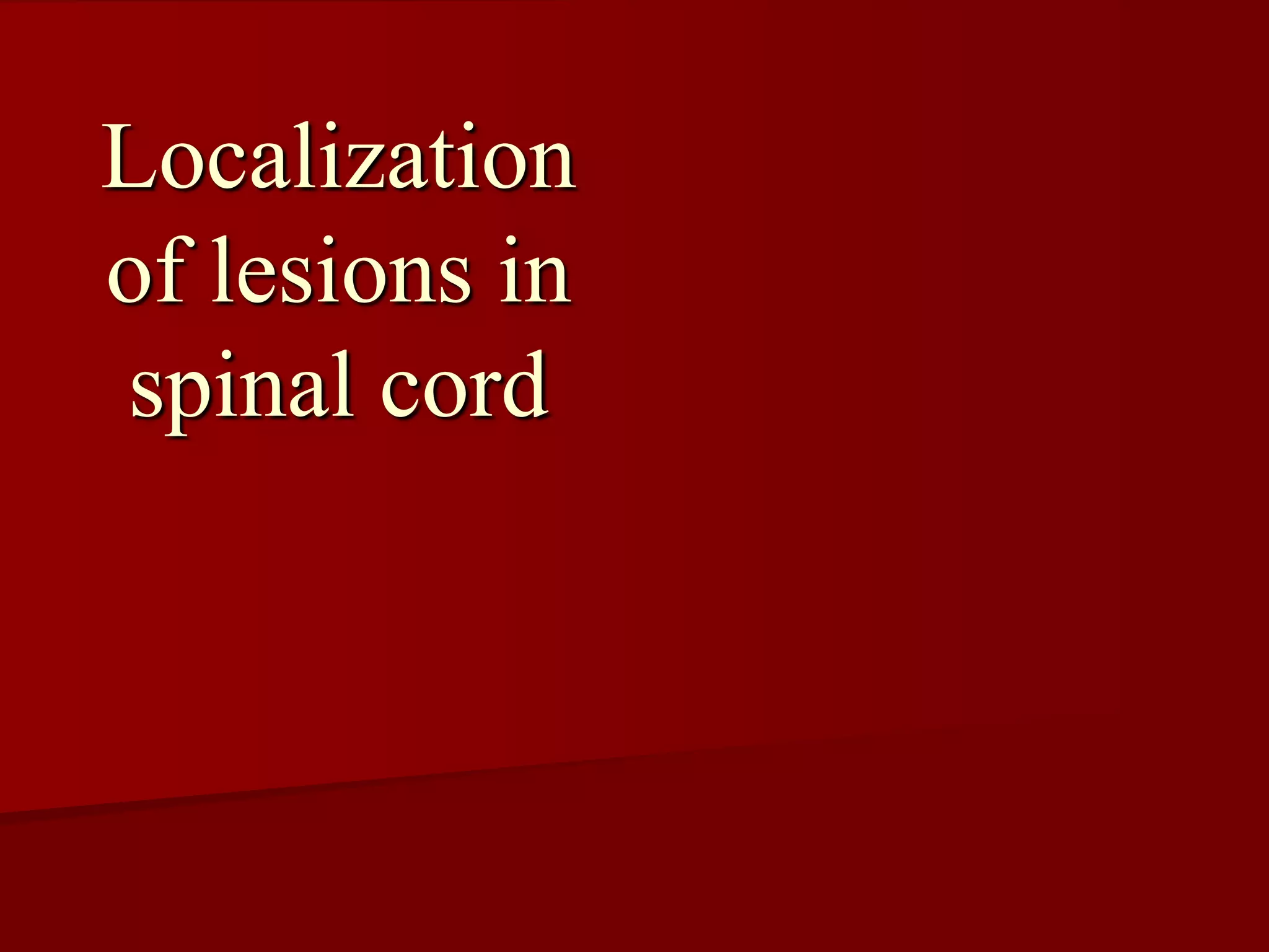 localization spinal cord | PPTX