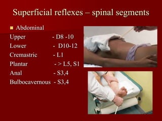 localization spinal cord | PPTX