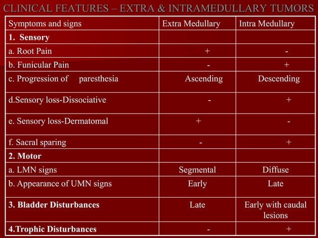 localization spinal cord | PPTX | Death, Injury, or Military Conflict ...