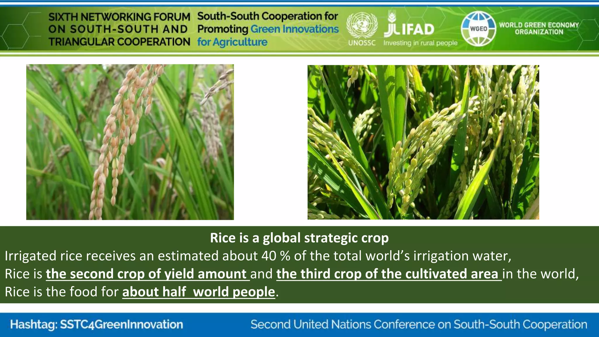 Save Irrigation Water and Nutrients Using the Innovative Machine of ...