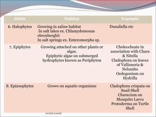 ALGAE General Characters | PPT