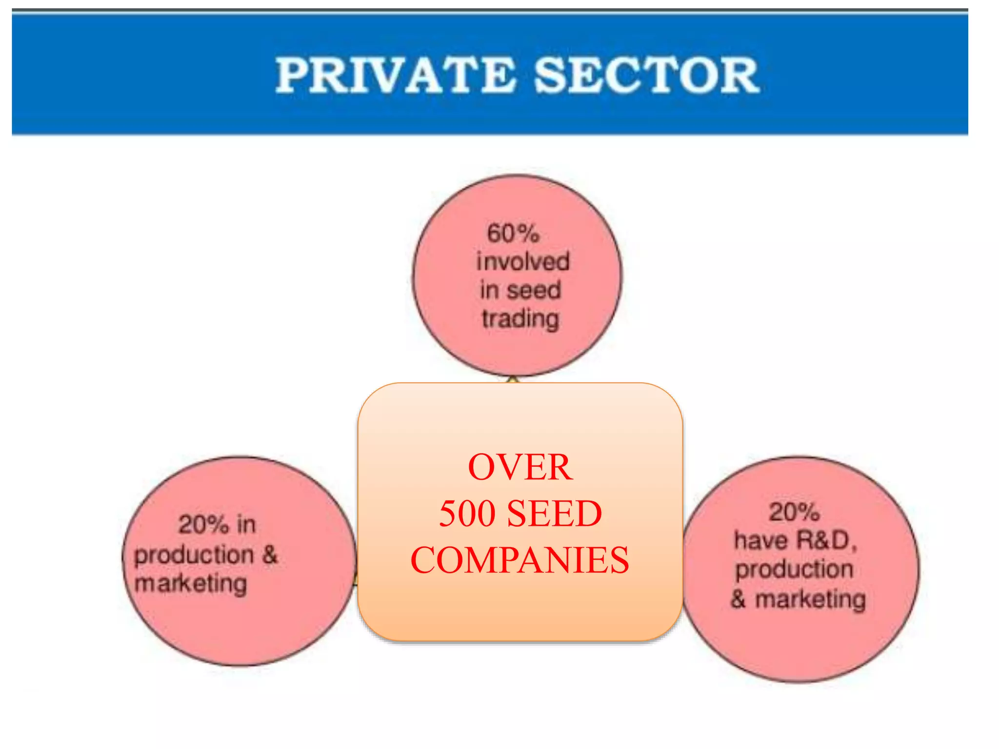 SEED PRODUCTION AND MARKETING | PPTX