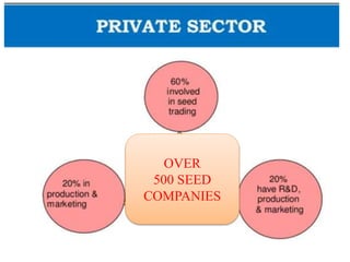 SEED PRODUCTION AND MARKETING | PPTX