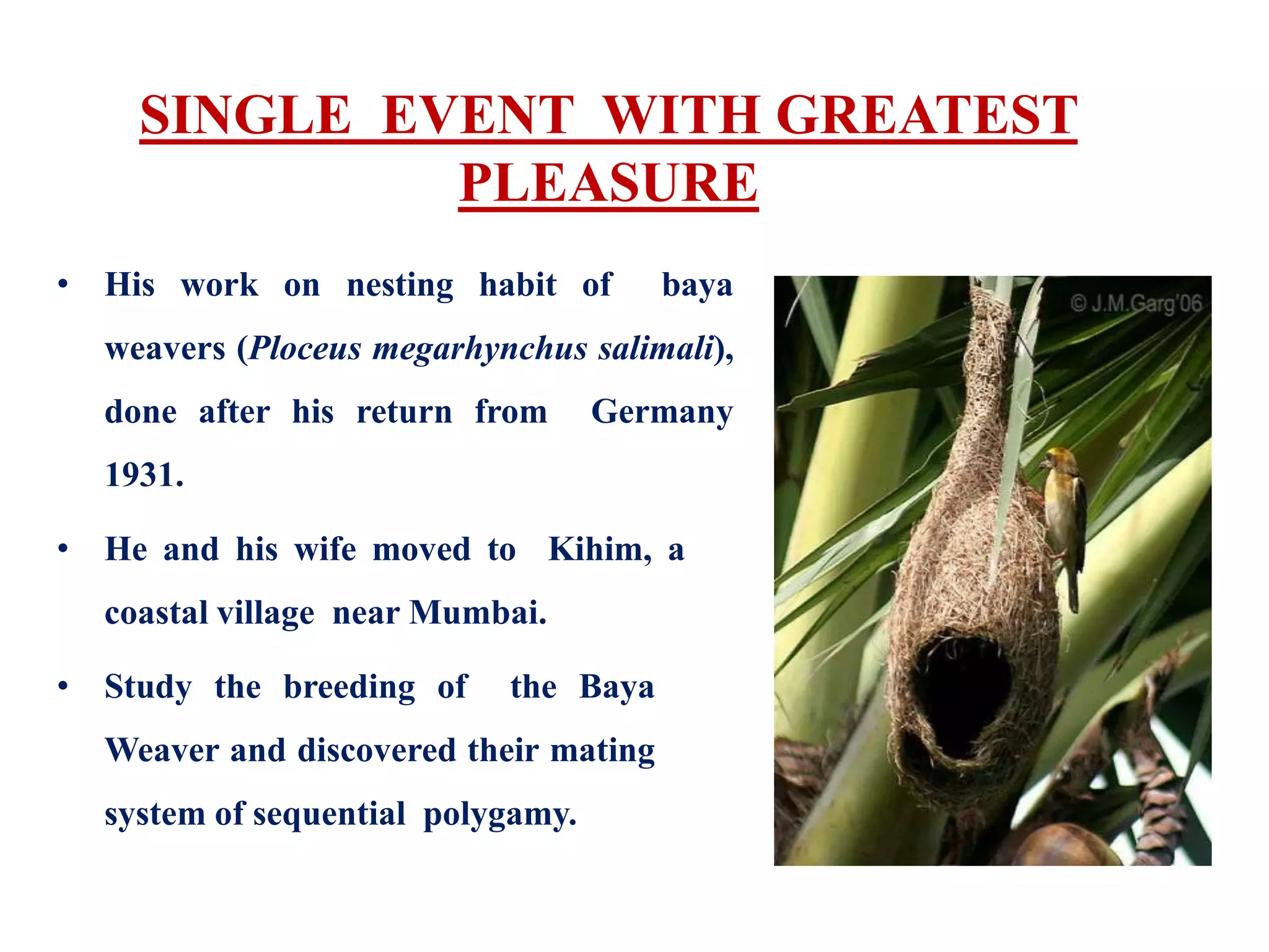 Dr.salim ali[1] | PPTX