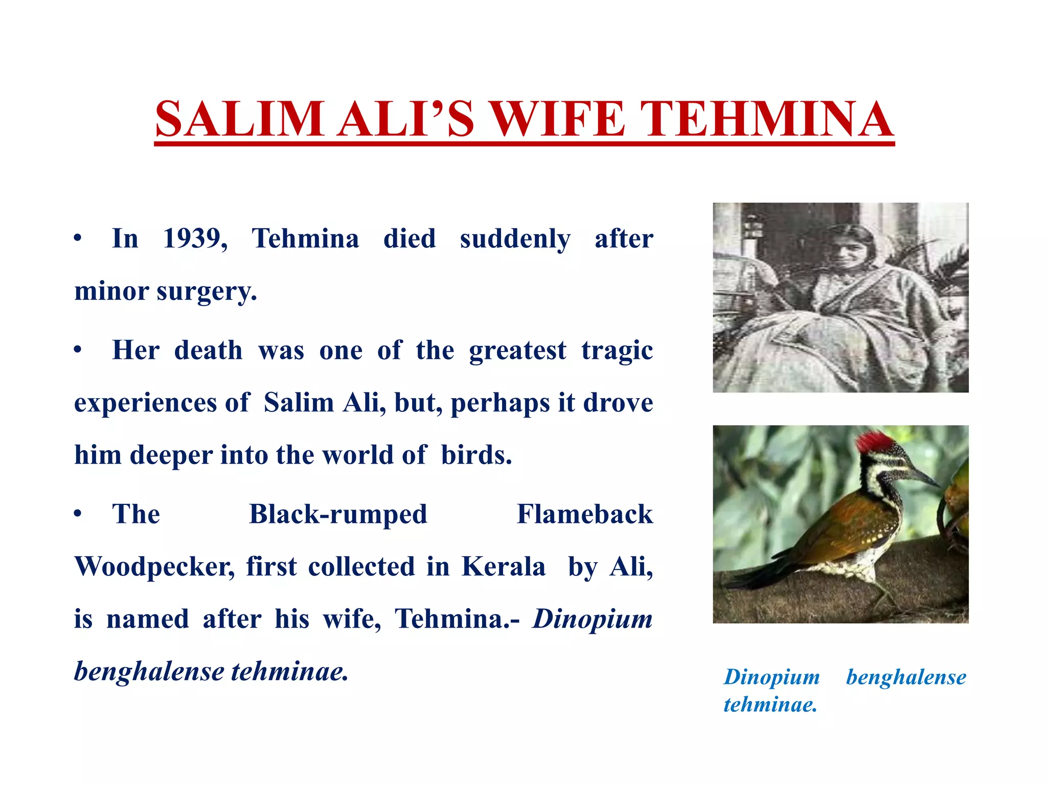 Dr.salim ali[1] | PPTX