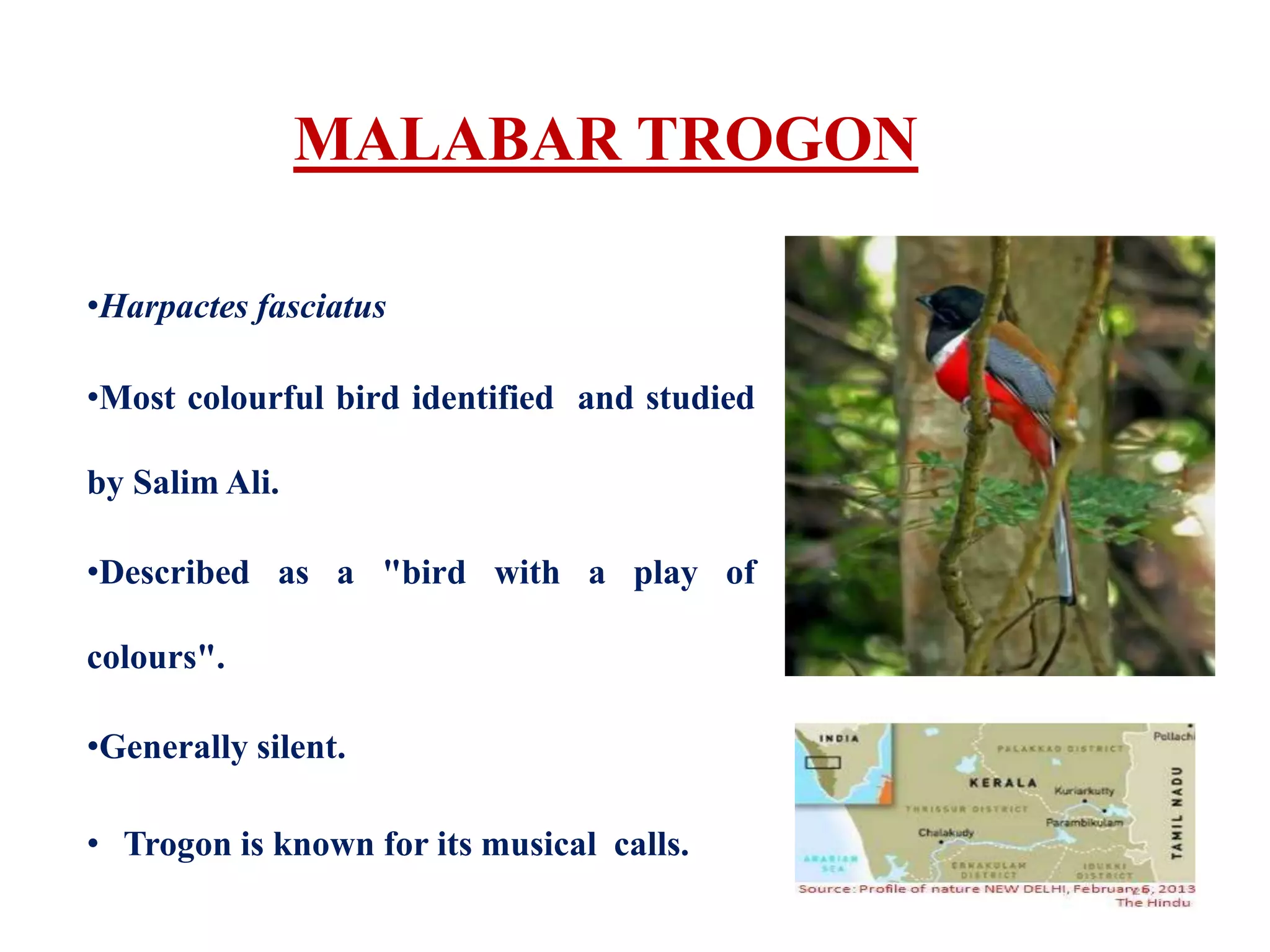 Dr.salim ali[1] | PPTX