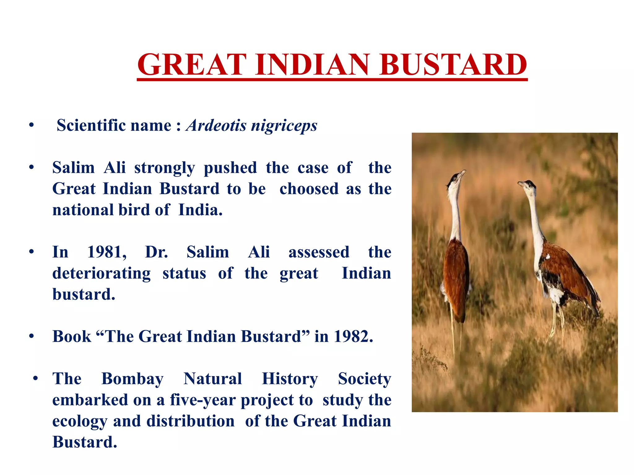 Dr.salim ali[1] | PPTX