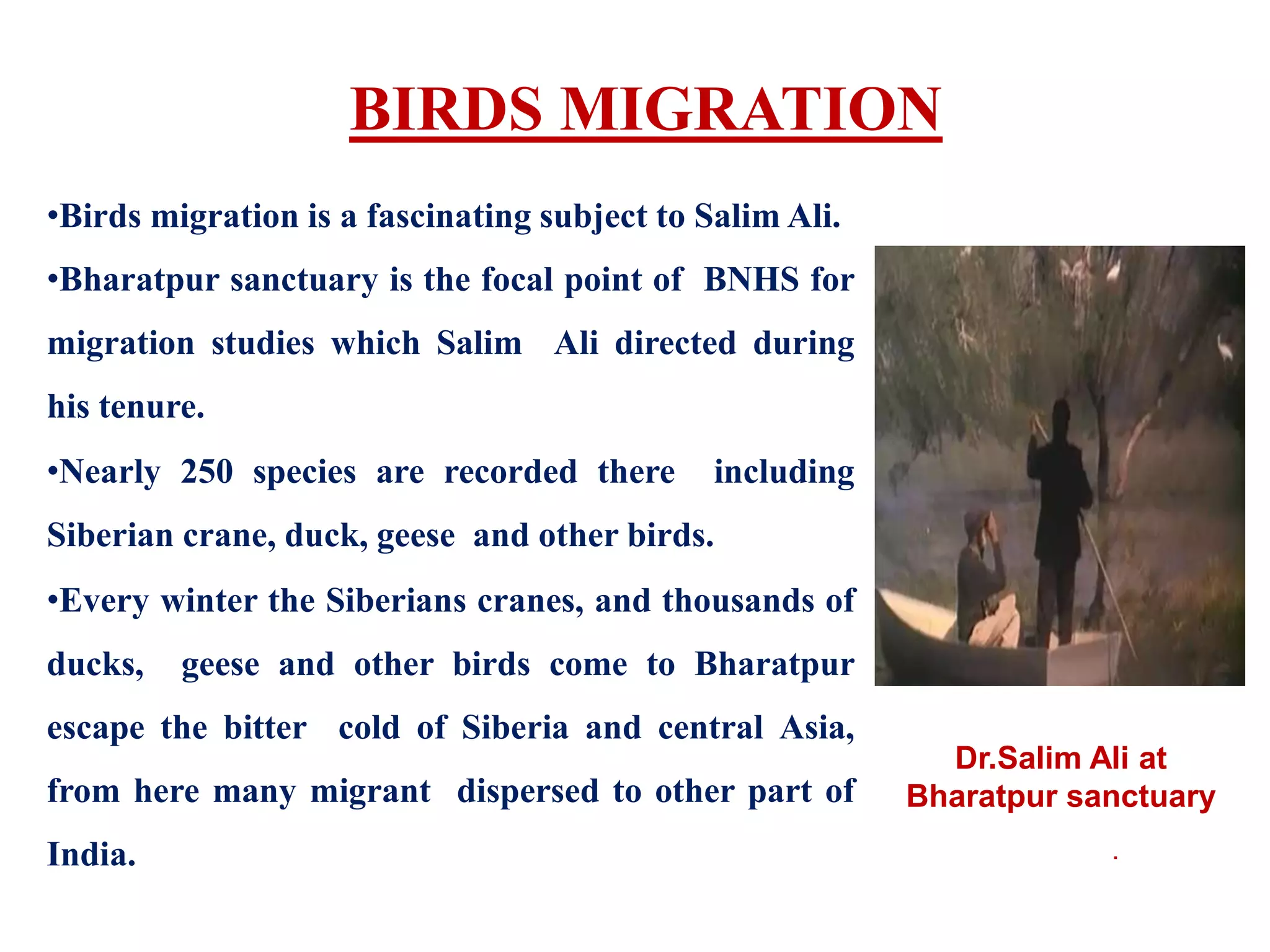 Dr.salim ali[1] | PPTX