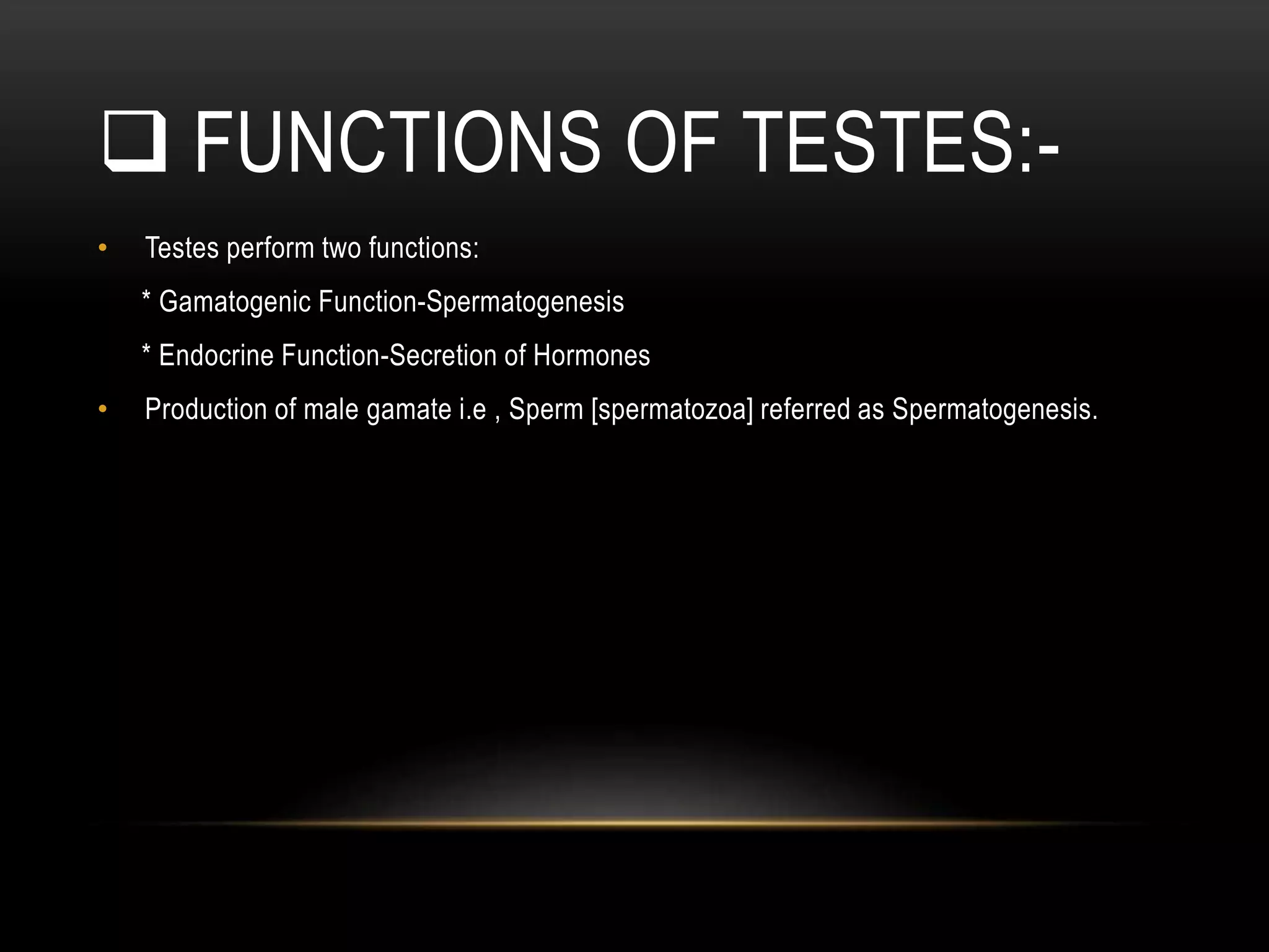 Endocrine Gland(TESTIS) | PPTX