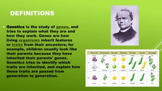Dr. hajare balaji b [genetics} | PPTX