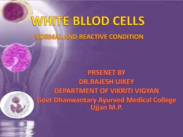 White Blood Cells | PPT