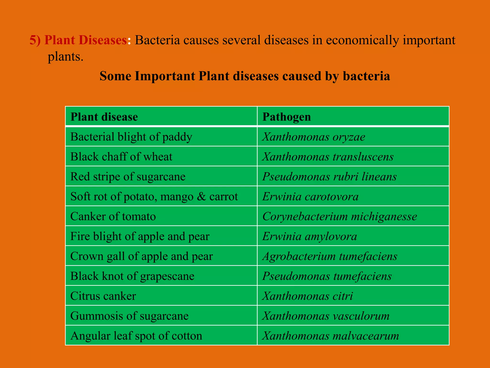 Economic Importance of Microbes | PPTX