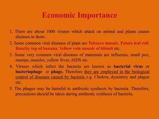 Economic Importance of Microbes | PPTX