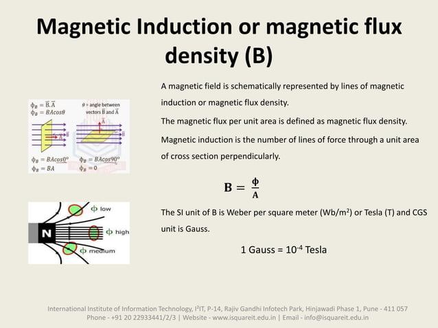 Introduction to Magnetism | PPTX | Physics | Science