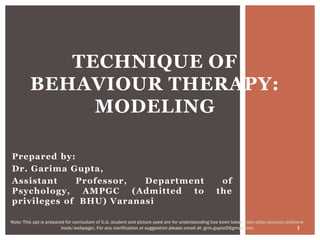 Modeling therapeutic approach | PDF