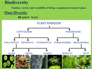 Botany | PPT
