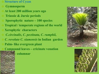 Botany | PPT