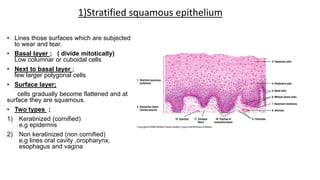 Dr.maria shahzad histology | PPTX