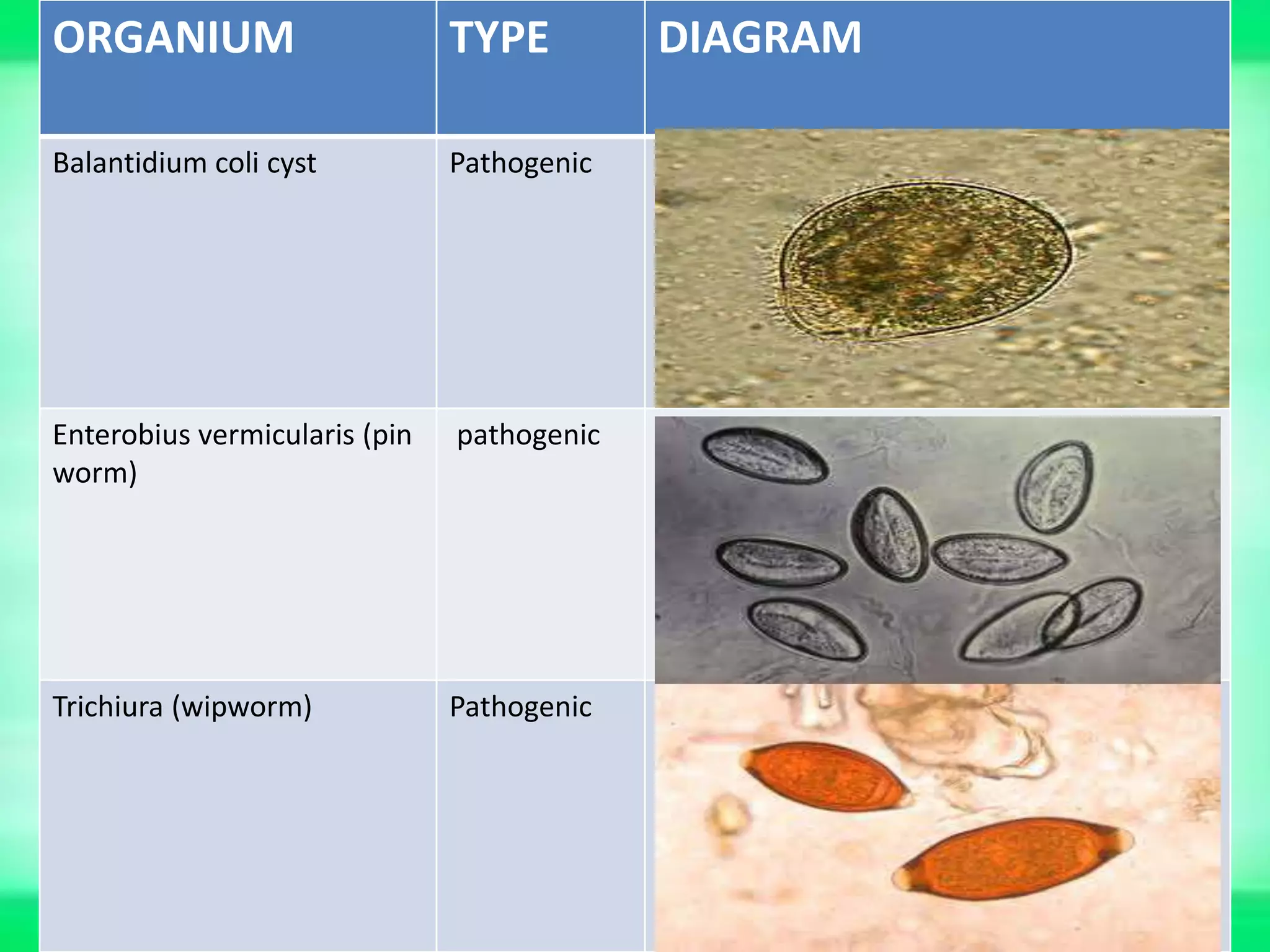Stool Examination for Routine Practice | PPTX