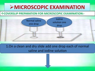Stool Examination for Routine Practice | PPTX
