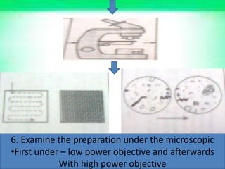 Stool Examination for Routine Practice | PPTX