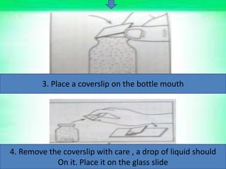 Stool Examination for Routine Practice | PPTX