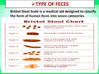 Stool Examination for Routine Practice | PPTX