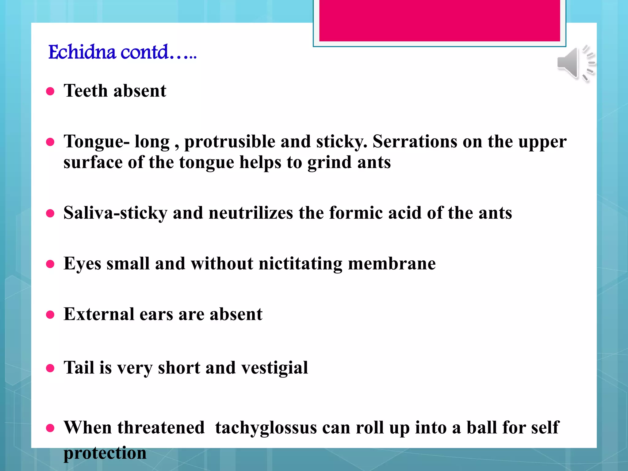 Dr. sheeja mammalia slide share | PPT | Free Download