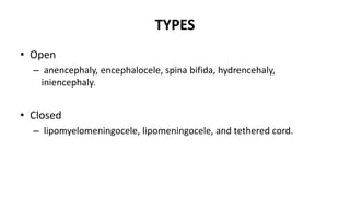 Neural Tube Defects for Undergraduate Medical Students | PPT