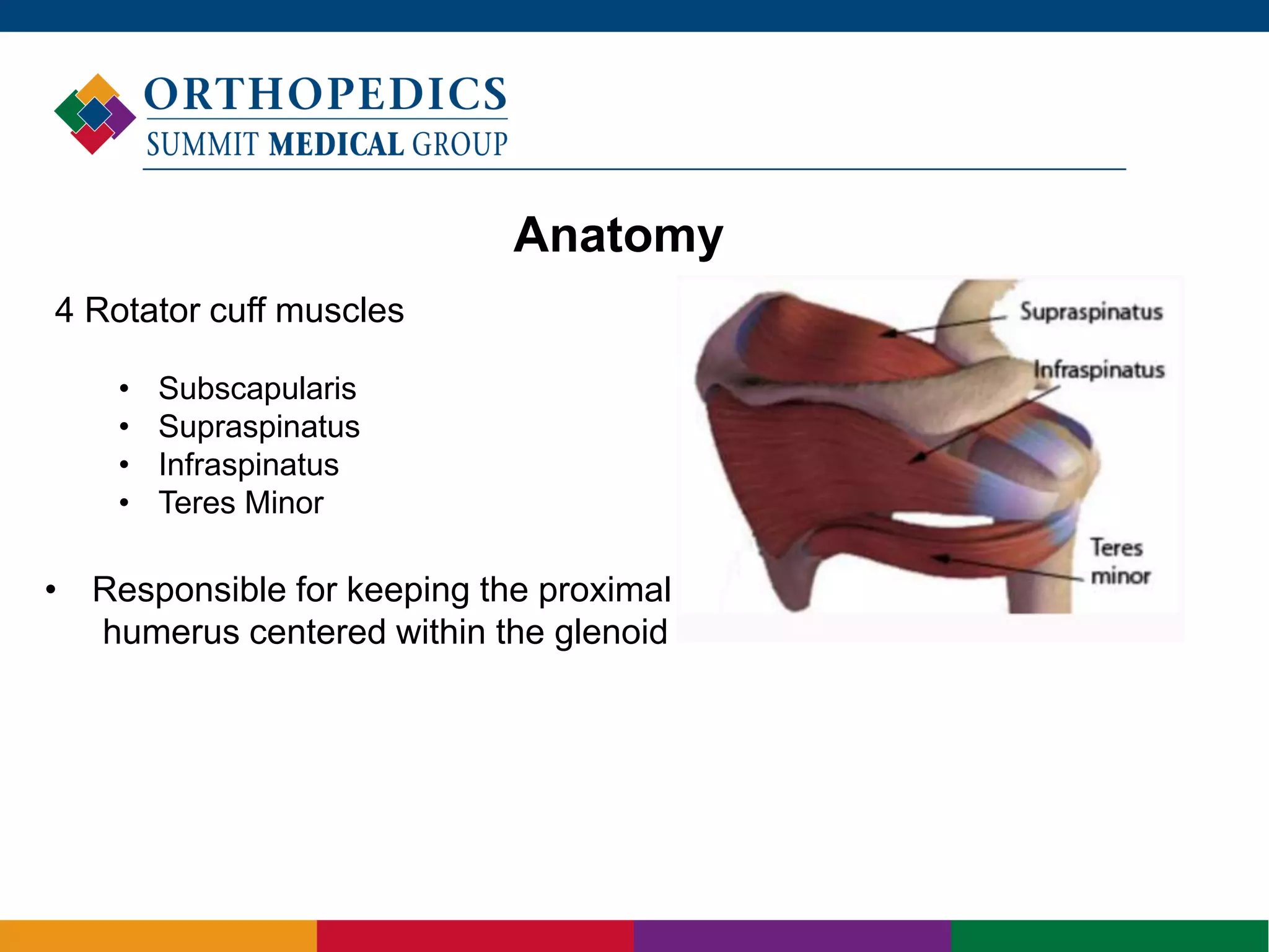 Shoulder Pain Relief: Common Rotator Cuff Injuries & Treatment Options ...