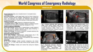 Ultrasounds findings of acute male genitourinary pathology | PPT