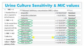 Urinary Tract Infection and focus on its management | PPT