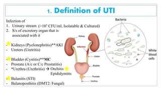 Urinary Tract Infection and focus on its management | PPT