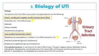 Urinary Tract Infection and focus on its management | PPT