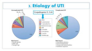 Urinary Tract Infection and focus on its management | PPTX