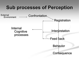 Perception | PPT | Free Download