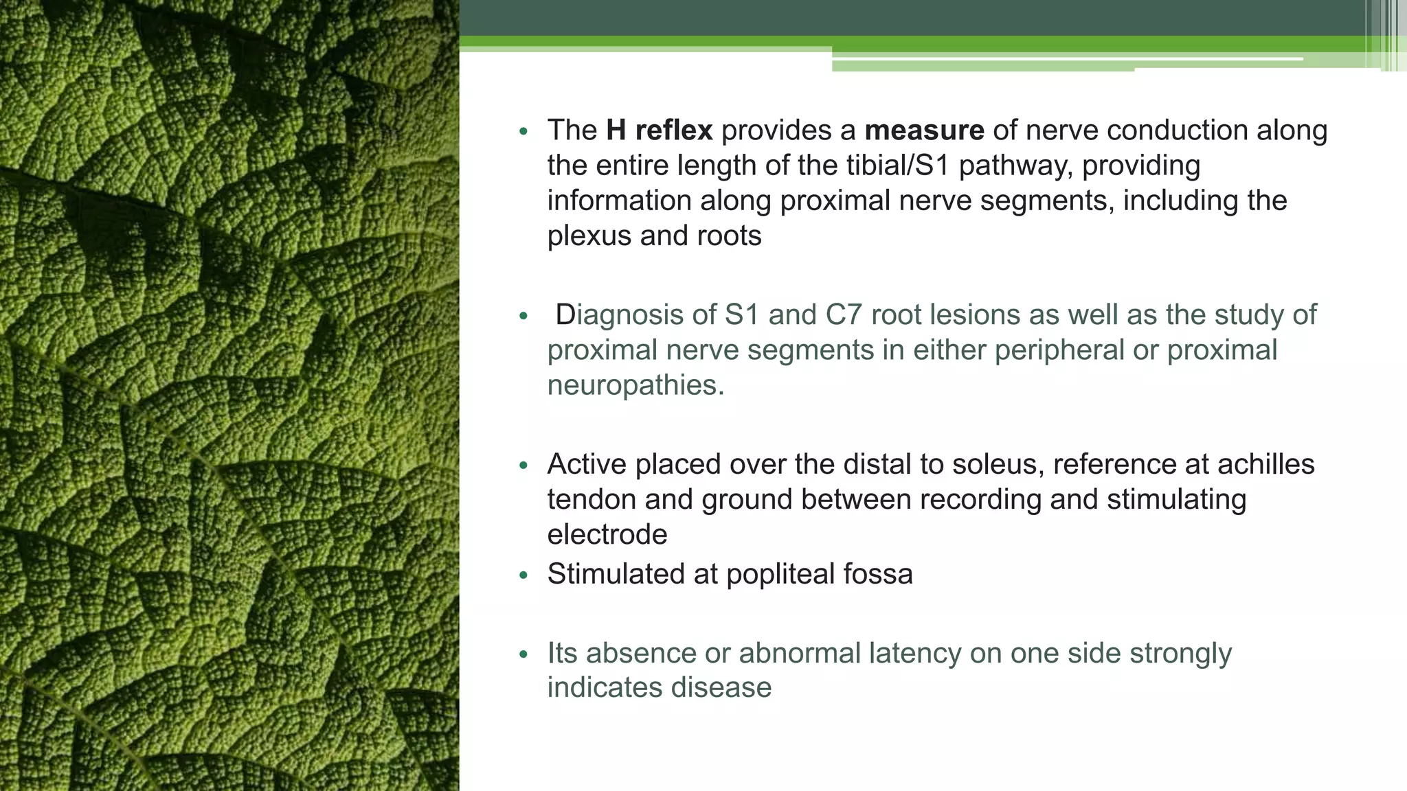 Fundamentals of Nerve conduction studies and its Interpretations | PPTX