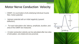 Fundamentals of Nerve conduction studies and its Interpretations | PPTX