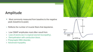 Fundamentals of Nerve conduction studies and its Interpretations | PPTX
