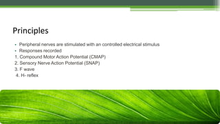 Fundamentals of Nerve conduction studies and its Interpretations | PPTX